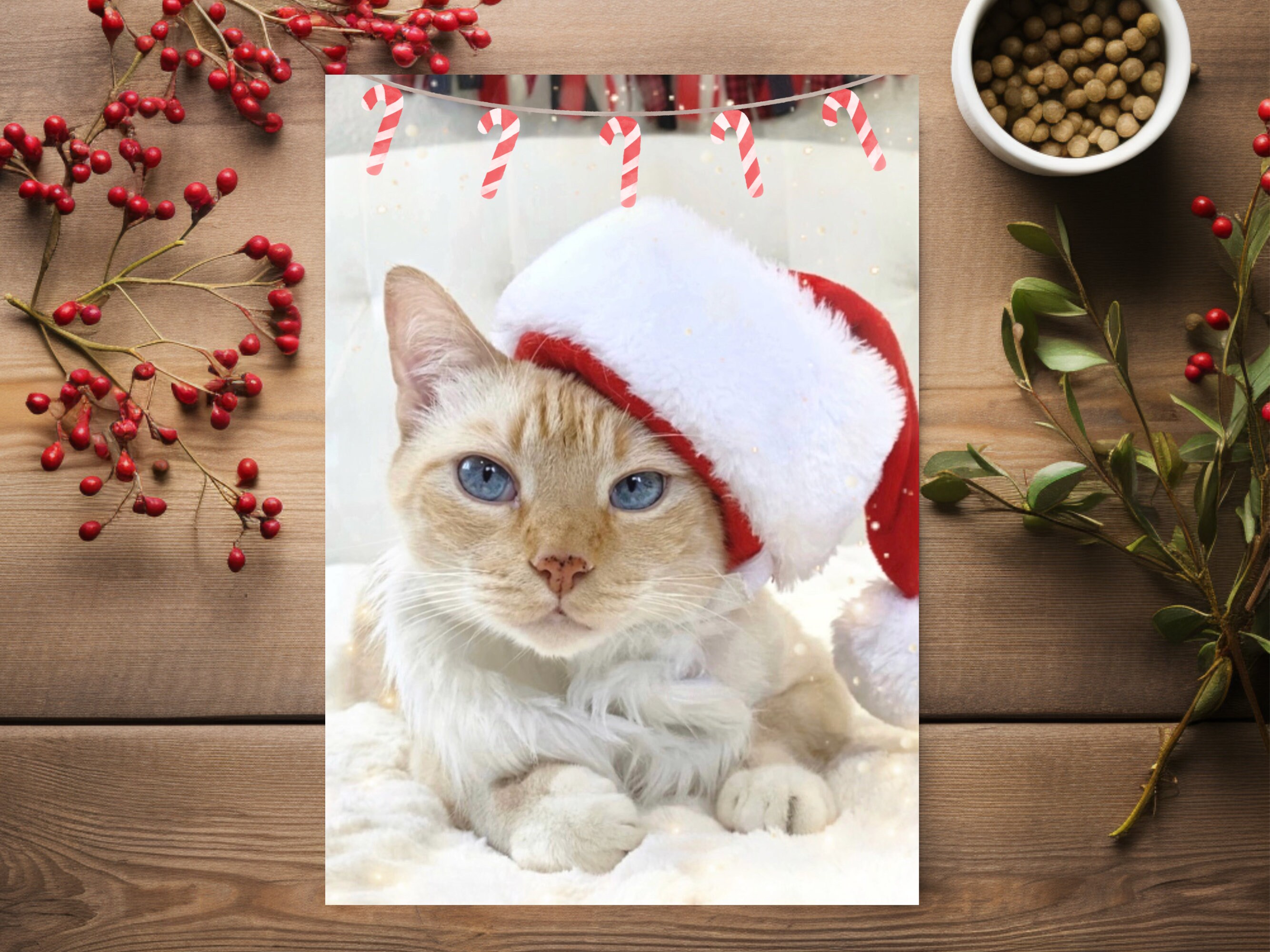 Printable Christmas Card, Happy Holidays Card, Digital Download, 5X7 ...