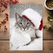 Printable Christmas Card, Happy Holidays Card, Digital Download, Print ...