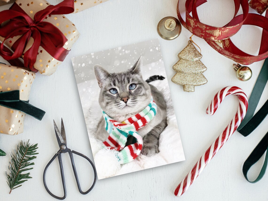 Printable Christmas Card, Happy Holidays Card, Cute Cat Lover Card ...