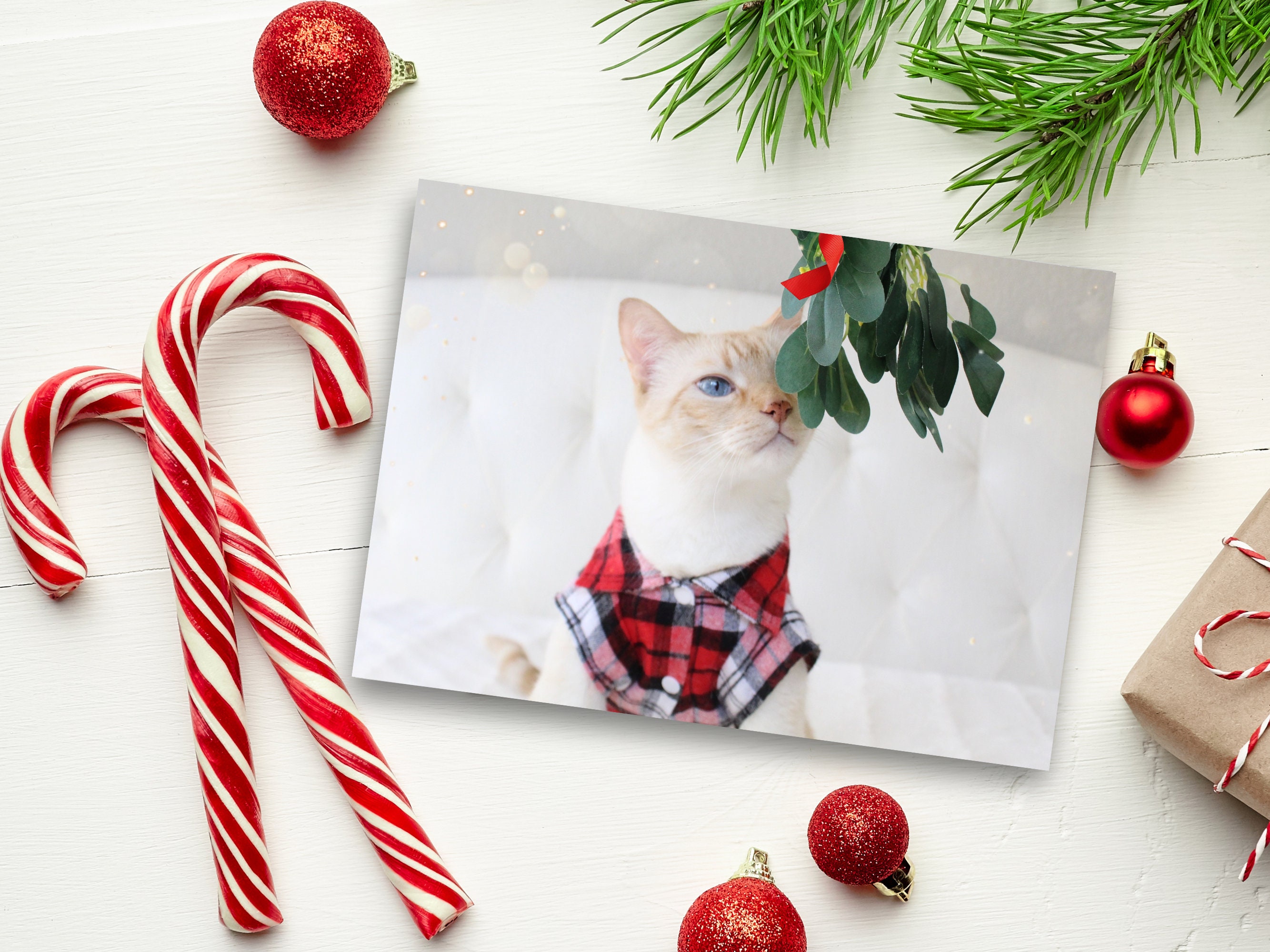 Printable Christmas Card, Happy Holidays Card, Digital Download, 5X7 ...