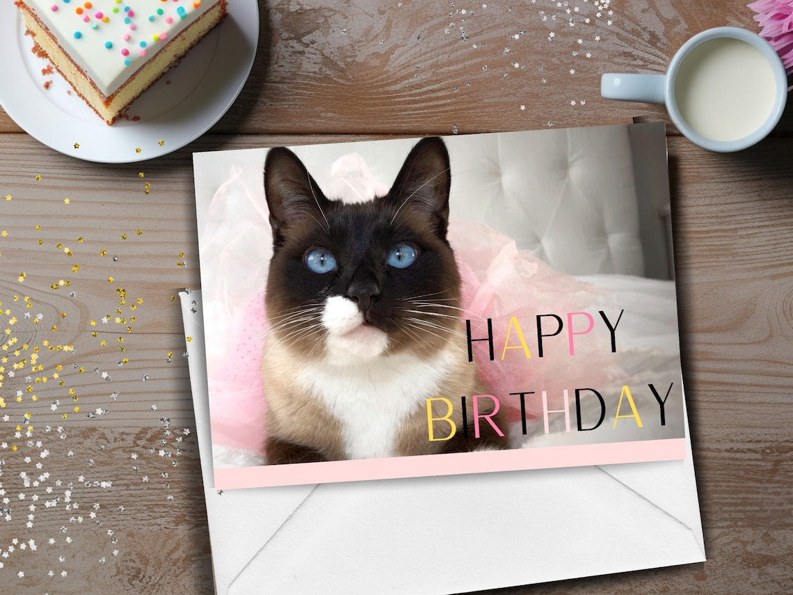 Printable Birthday Card Happy Birthday Cat Printable Cat - Etsy
