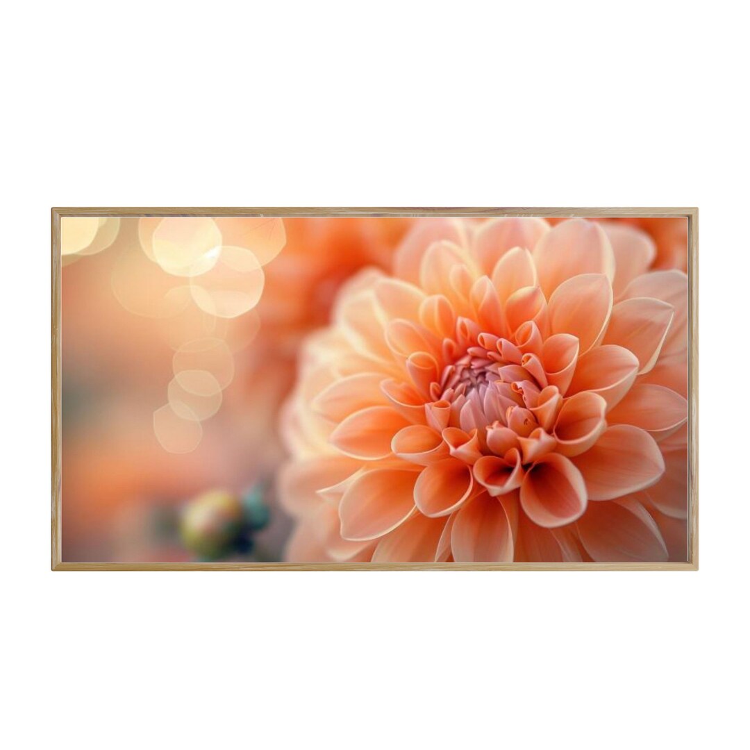 Samsung Tvframe Art Peach Fuzz Flower Frame Tvart Spring Frame Tvart ...