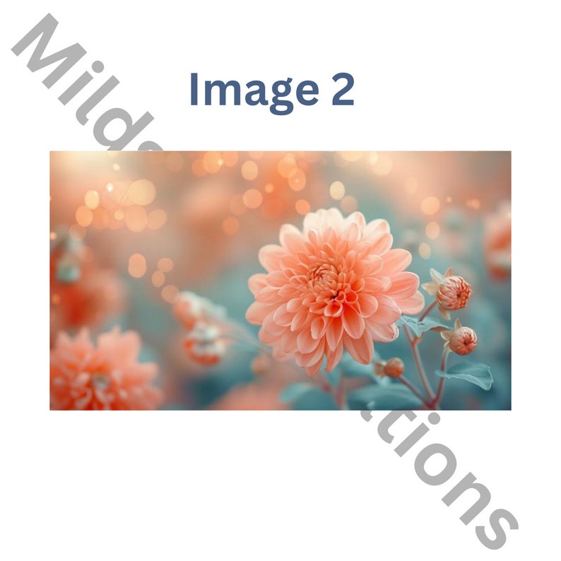 Samsung Tvframe Art Peach Fuzz Flower Frame Tvart Spring Frame Tvart ...