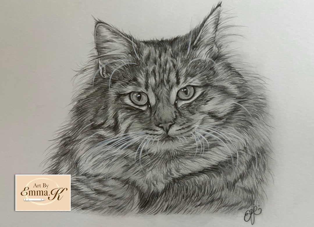 Custom Tonal Pencil Pet Portrait, Hand Drawn, Personalised From Any ...