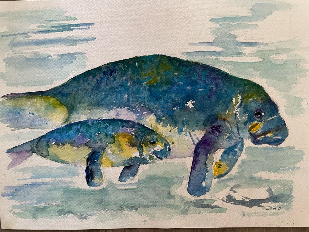 Florida Manatee and Baby Watercolor Print Matted to 11 X 14 - Etsy
