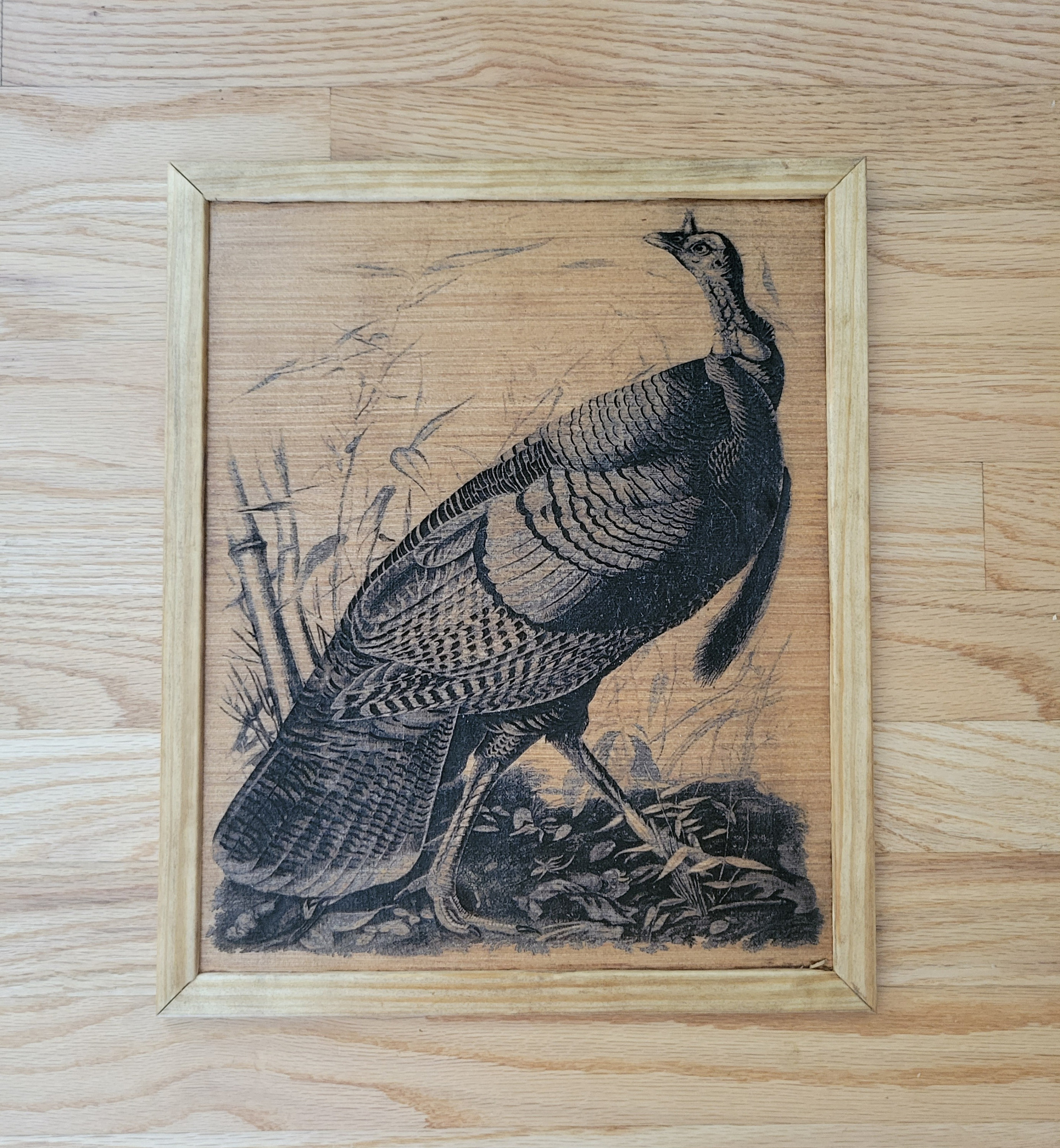 Laser Cut Wild Turkey Wall Hanging - Etsy