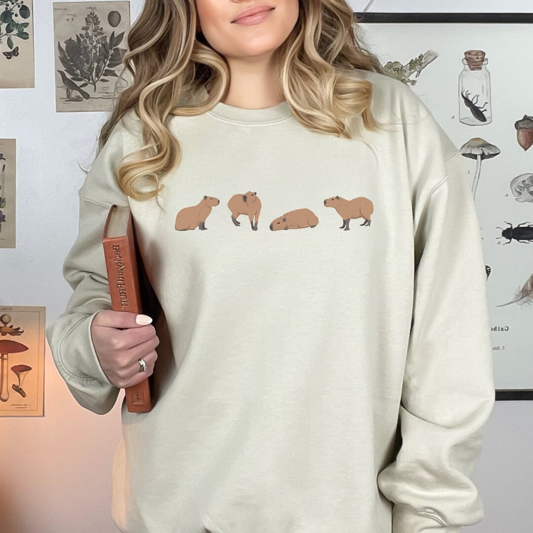 Cute Cartoon Capybara Sweatshirt, Capy Sweater Birthday Present, Funny ...