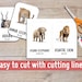 Endangered Animals Flashcards | Montessori Education | Educational ...