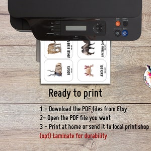 Endangered Animals Flashcards | Montessori Education | Educational ...