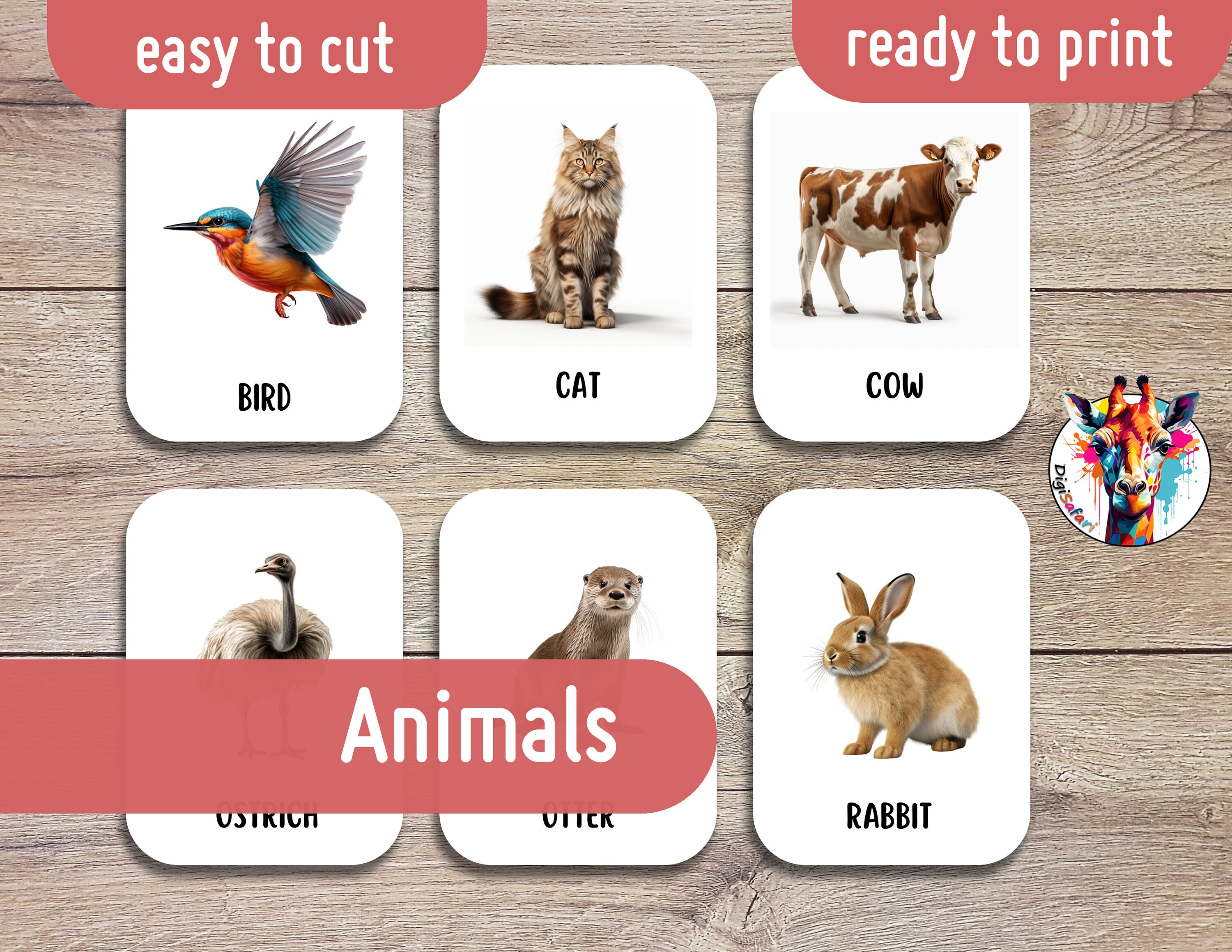 Wonderful Common Animals Flashcards | 29 Cards Set | Montessori ...