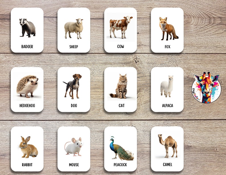Common Animals Flashcards | Montessori Educational Cards (instant ...