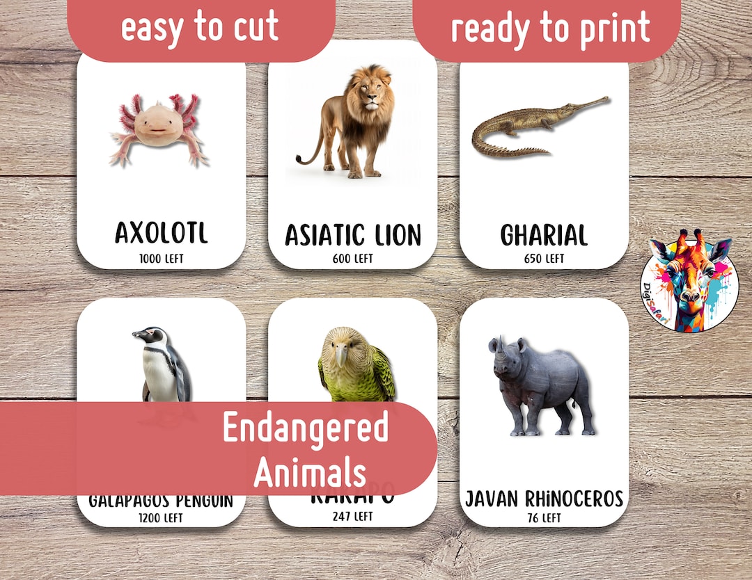 Digisafari 29 Endangered Animals Flashcards Montessori Flashcards ...