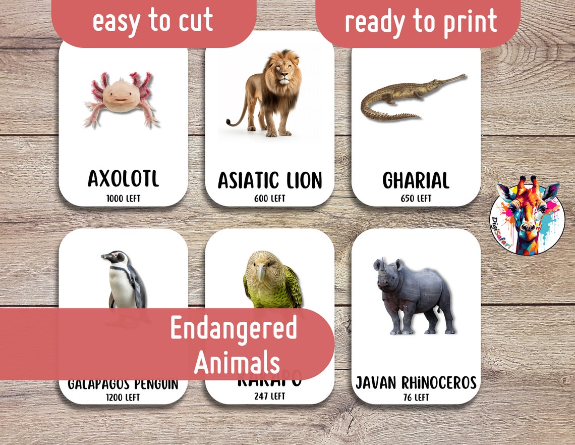 Endangered Animals Flashcards Montessori Education Educational ...