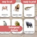 Endangered Animals Flashcards | Montessori Education | Educational ...