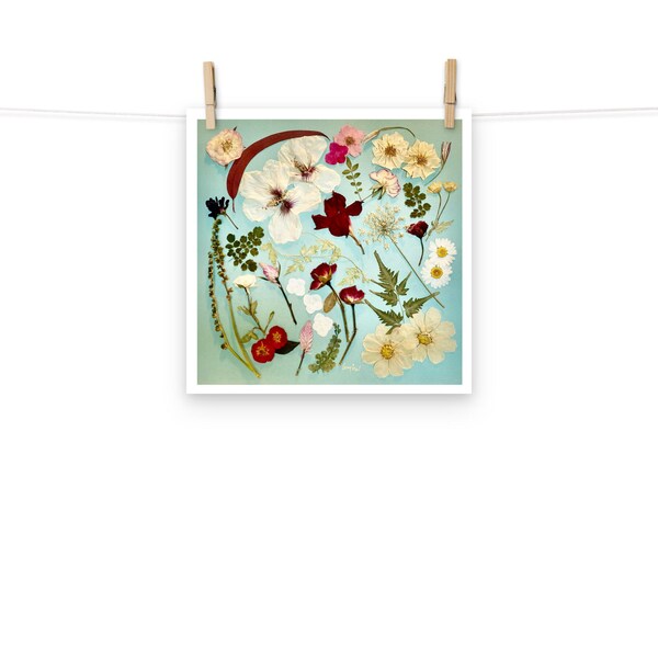 Pressed Tropical Flowers - Etsy