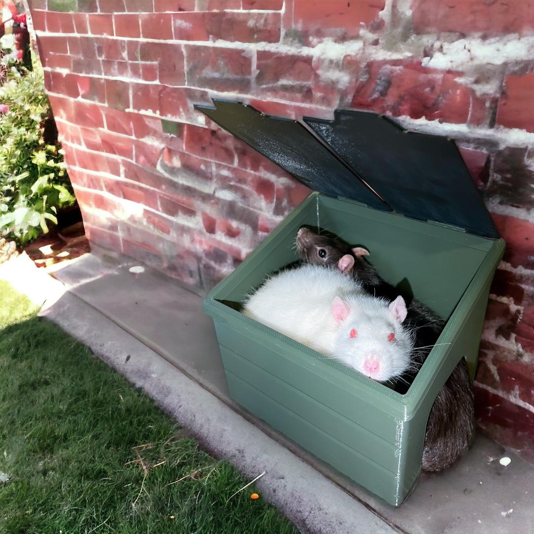 Dumpster Hide for Rats 3d Printable Model - Etsy