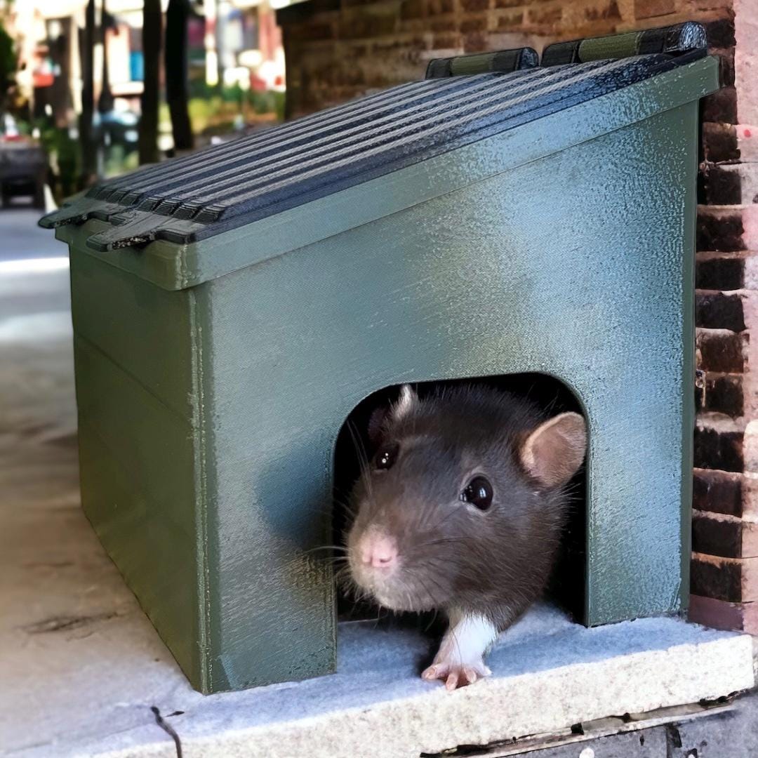 Dumpster Hide for Rats 3d Printable Model - Etsy