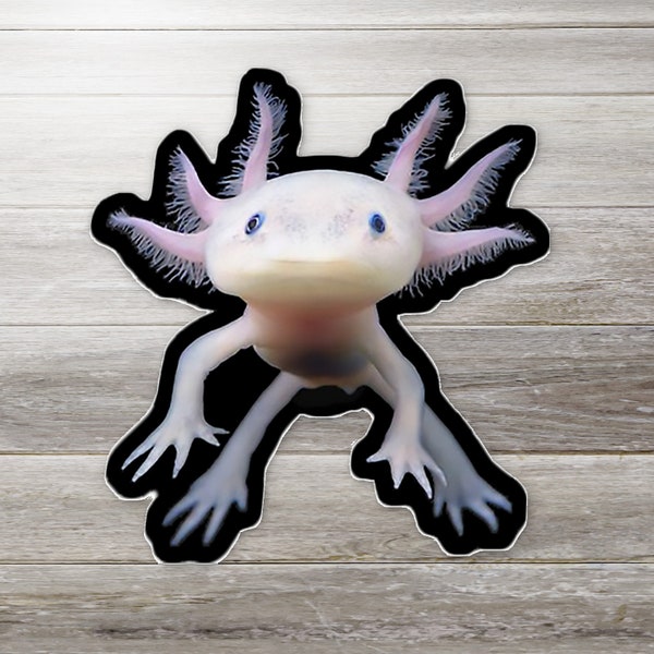 Axolotl Sticker - Etsy