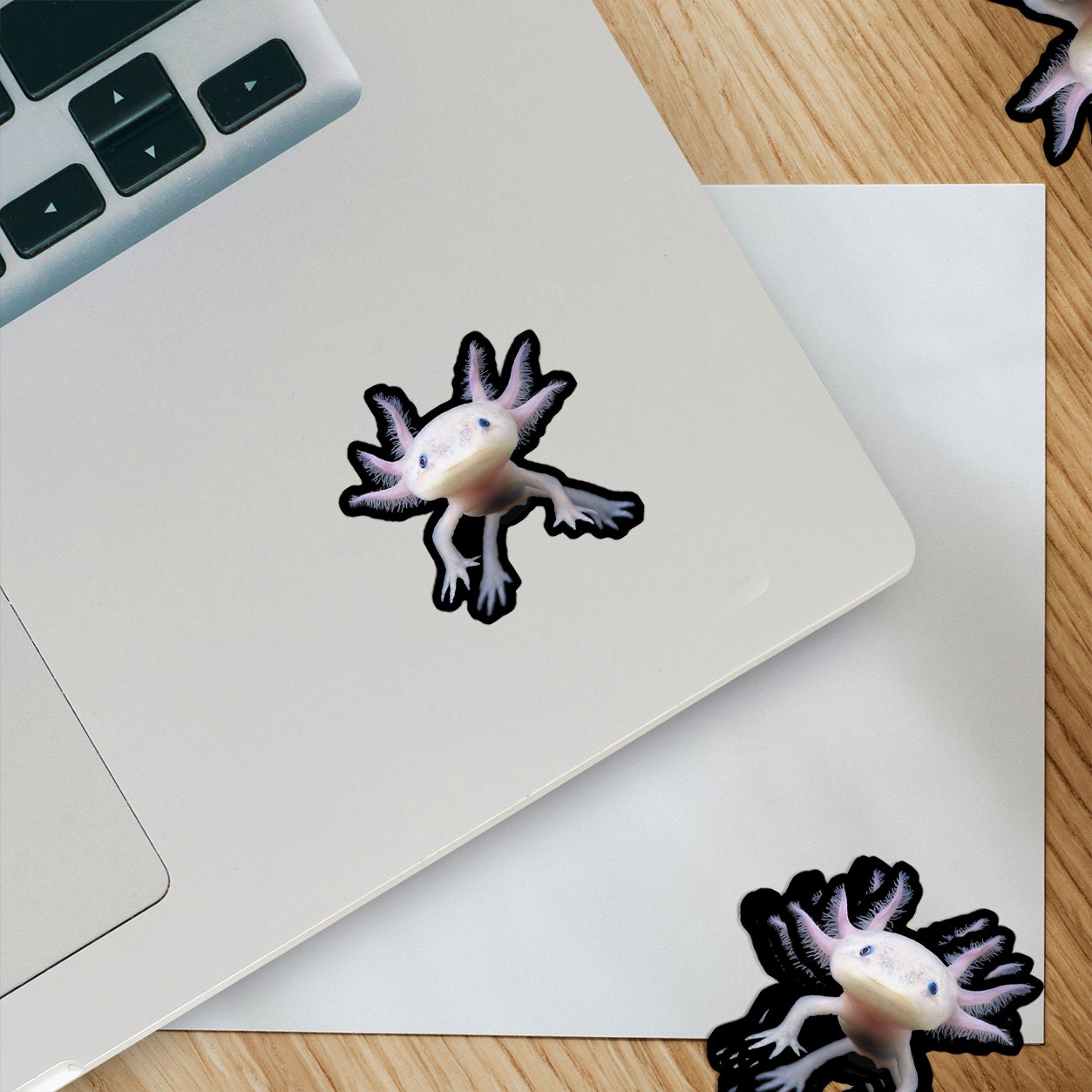 Axolotl Sticker Realistic - Etsy