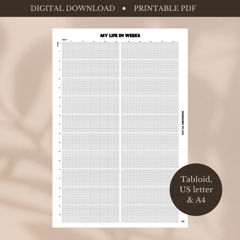 Life in Weeks Poster - Etsy