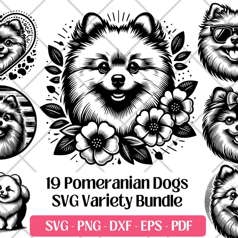 Pomeranian Svg - Etsy