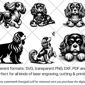 Cavalier King Charles Spaniel SVG Bundle, PNG, DXF, Eps, Pdf Cutting ...
