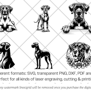 Great Dane SVG Bundle, Vector, PNG, Dxf, Eps,pdf, Cutting and Laser ...
