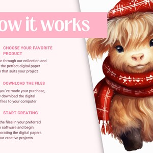 Highland Cow Clipart Bundle • 60 Christmas-themed Highland Cow PNG ...