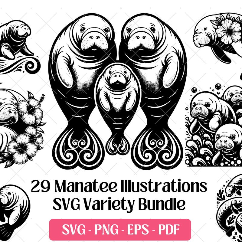 Manatee Svg - Etsy