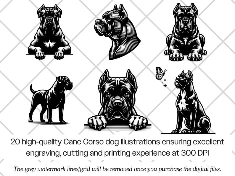 Cane Corso SVG Bundle, Dog Vector Graphics (digital Files) - Etsy