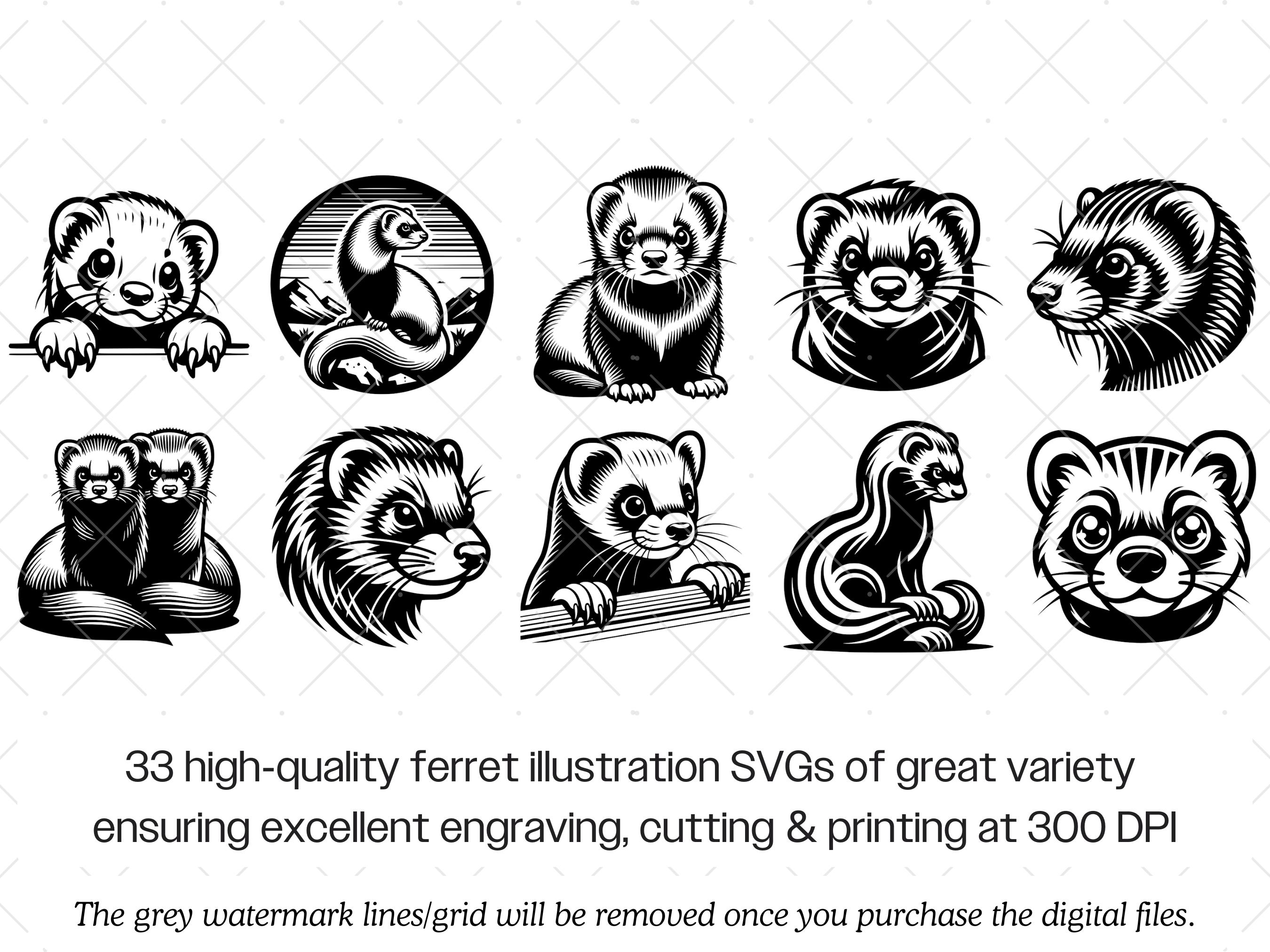 Ferret SVG Bundle · Whimsical Funny Pet Animal Clipart PNG PDF · Cricut ...