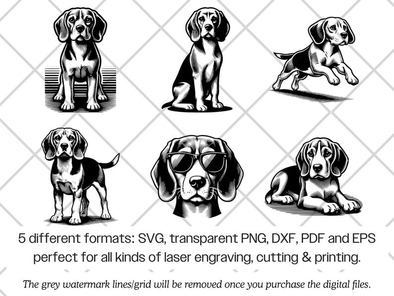 Beagle SVG Bundle, Dog Vector, PNG, DXF, Eps, Pdf Cutting and Laser ...
