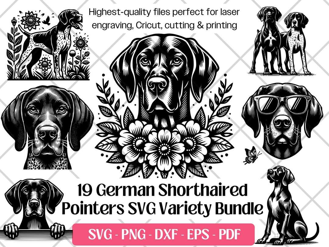 German Shorthaired Pointer SVG Bundle, Vector, PNG, Dxf, Eps,pdf ...