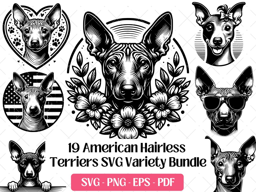 American Hairless Terrier SVG Bundle Cutting Laser Engraving Files ...