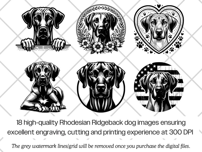 Rhodesian Ridgeback SVG Bundle, Vector PNG DXF Eps,pdf Cutting Laser ...