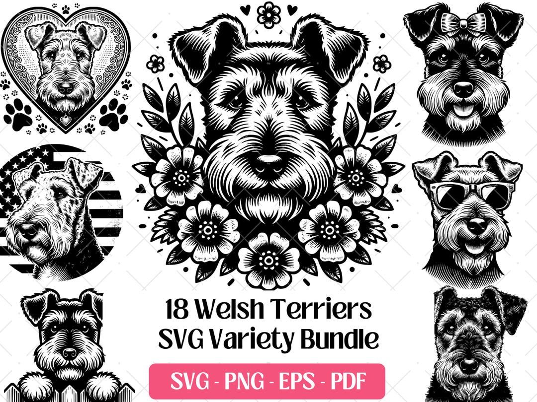 Welsh Terrier SVG Bundle · Hunting Dog Breed Terrier Welsh Design ...