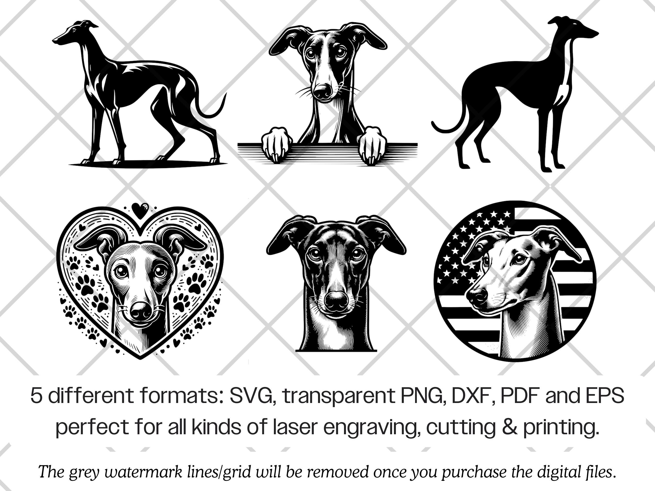 Greyhound SVG Bundle, Vector, PNG, Dxf, Eps,pdf, Cutting and Laser ...