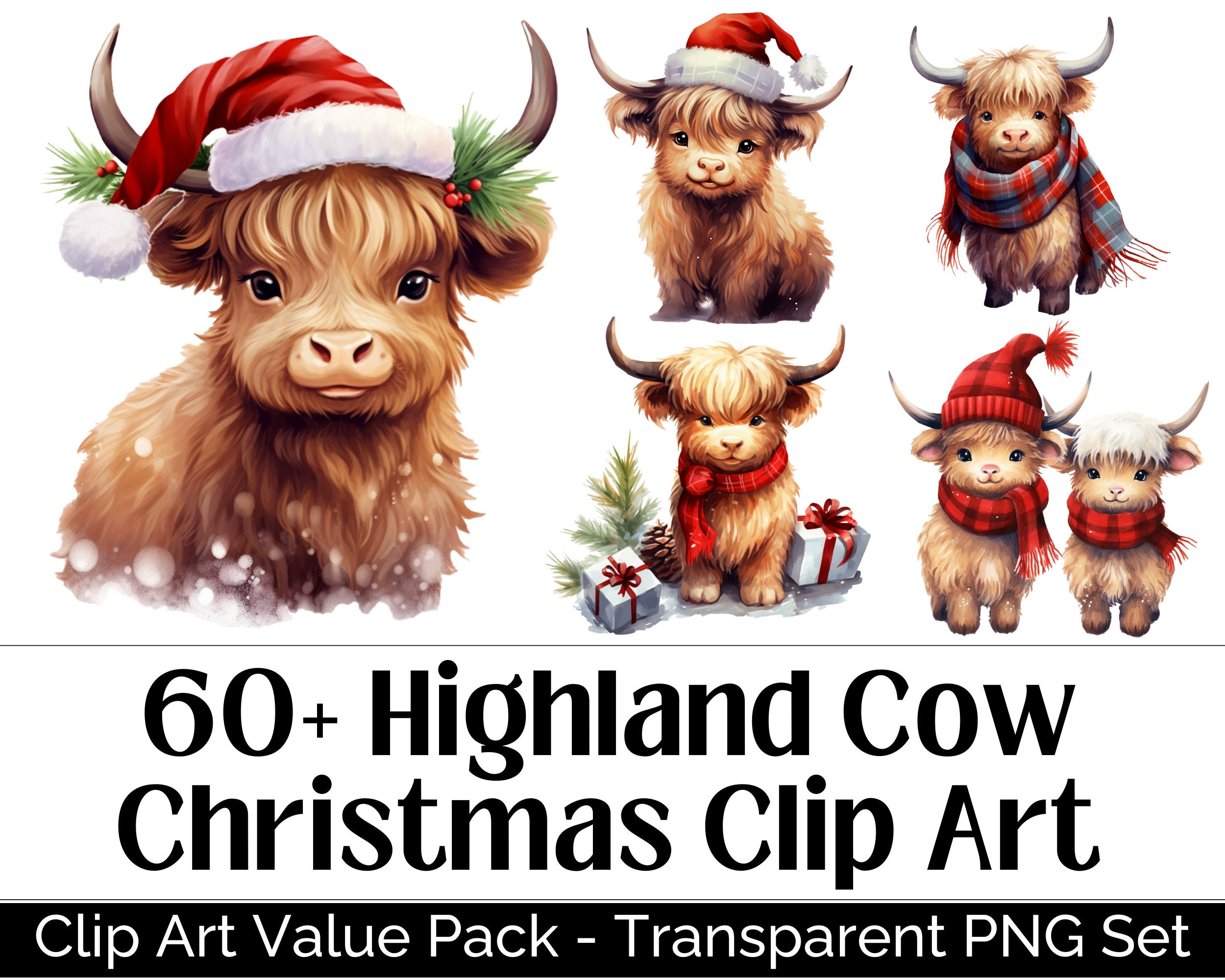 Highland Cow Clipart Bundle 60 Christmas-themed Highland Cow PNG ...