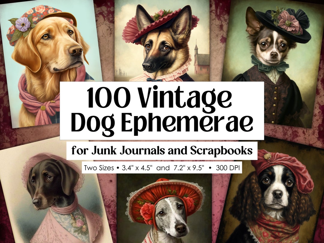 Vintage Dog Portraits Ephemera • 100 Printable Images (digital Download ...