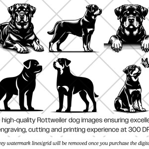 Rottweiler SVG Bundle, Vector, PNG, DXF, Eps, Pdf Cutting and Laser ...