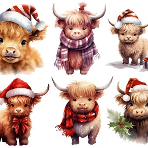 Highland Cow Clipart Bundle • 60 Christmas-themed Highland Cow PNG ...