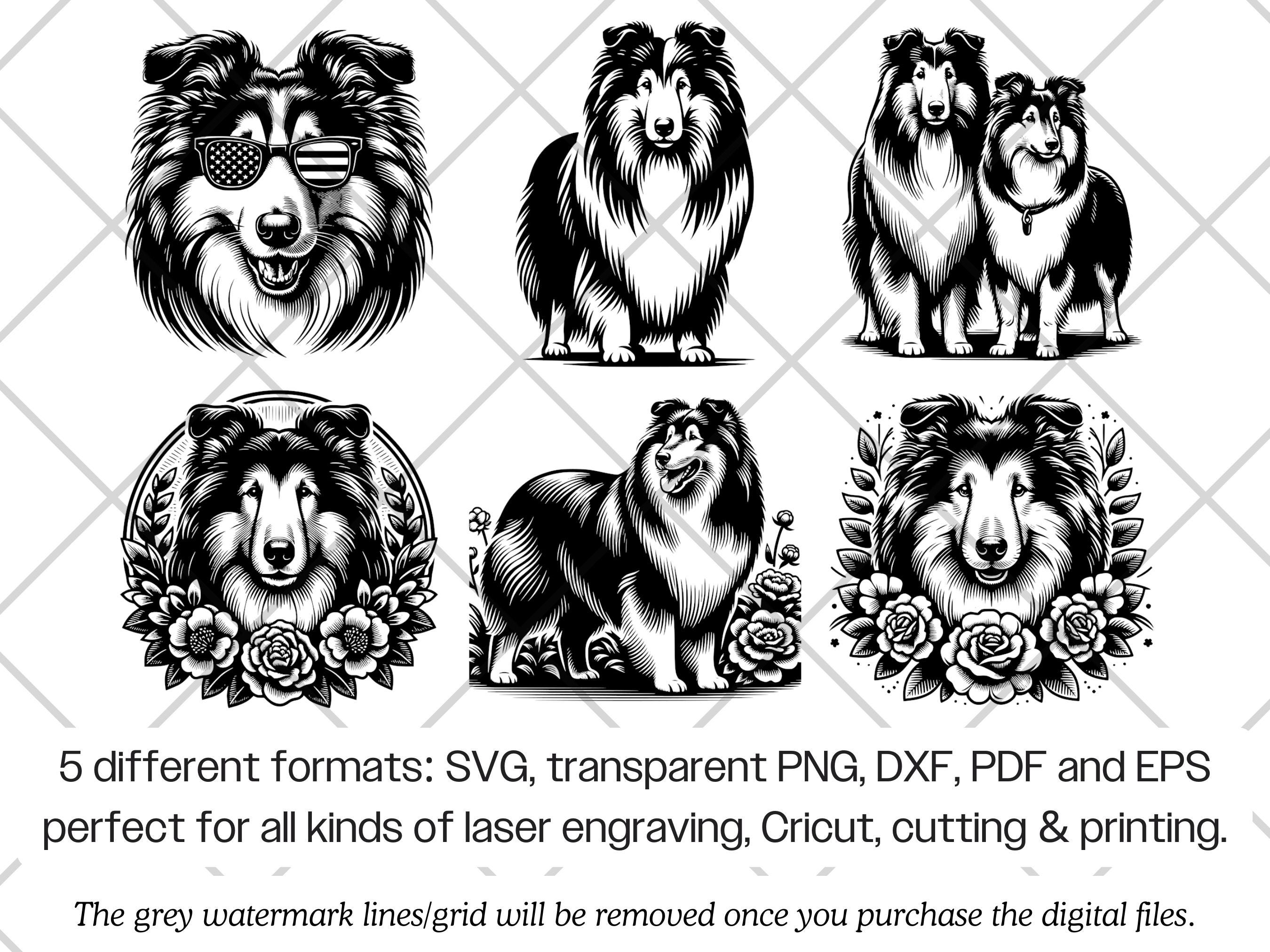 Rough Collie SVG Bundle, Dog Clipart Vector Graphics (png, Dxf, Eps ...