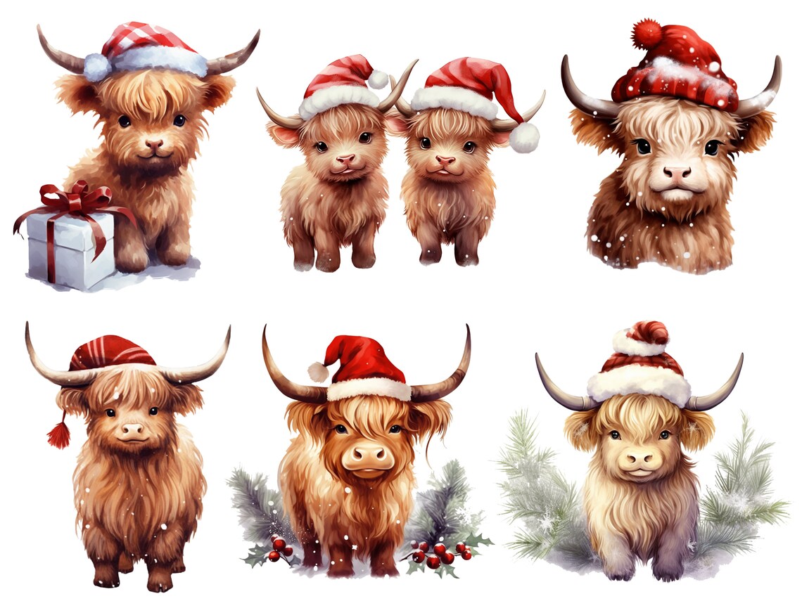 Highland Cow Clipart Bundle 60 Christmas-themed Highland Cow PNG ...