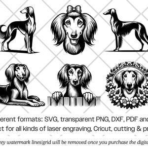 Saluki SVG Bundle · Sighthound Desert Dog Clipart PNG · Cricut Files - Etsy