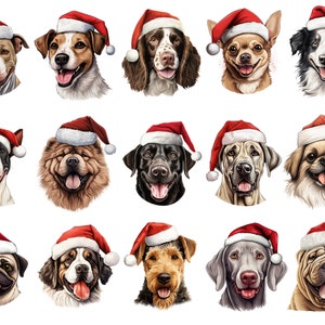 Christmas Dogs, 670 Santa Dogs PNG Clipart Bundle • 111 Breeds ...