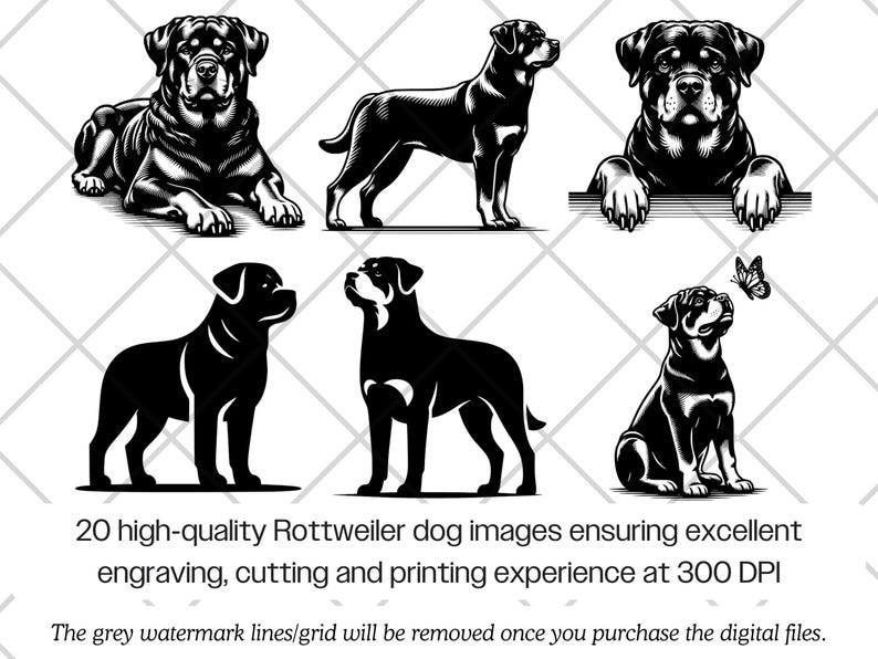 Rottweiler SVG Bundle · Rottie Guard Dog Clipart PNG · Cricut Files - Etsy
