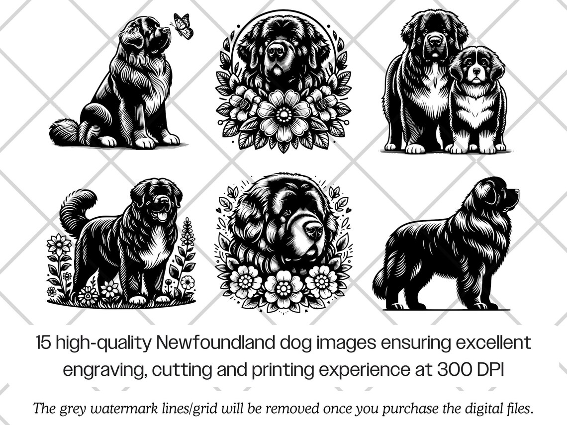 Newfoundland Dog SVG Bundle · Newfie Giant Fluffy Clipart PNG · Cricut ...