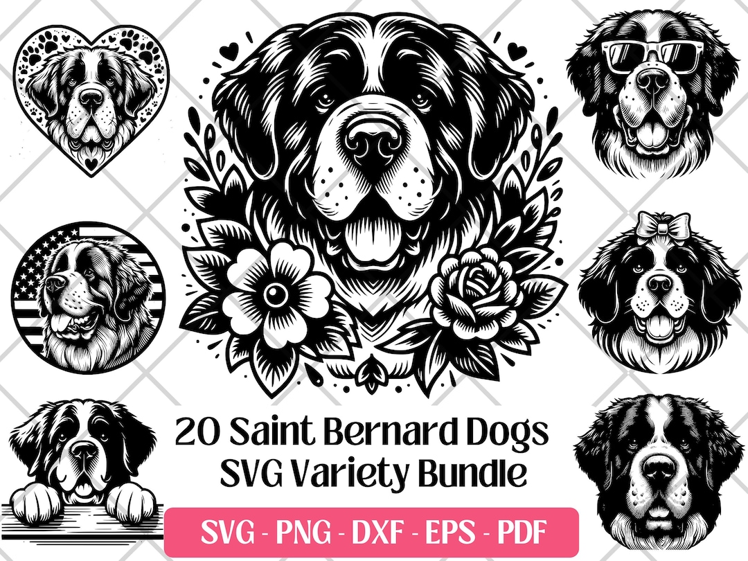 Saint Bernard SVG Bundle, Vector, PNG, DXF, Eps, Pdf Cutting and Laser ...