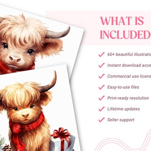 Highland Cow Clipart Bundle • 60 Christmas-themed Highland Cow PNG ...