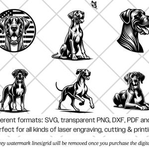 Great Dane SVG Bundle, Vector, PNG, Dxf, Eps,pdf, Cutting and Laser ...